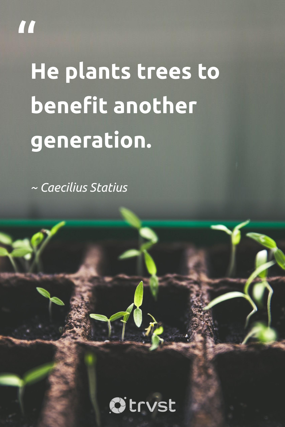 45 Gardening Quotes and Sayings