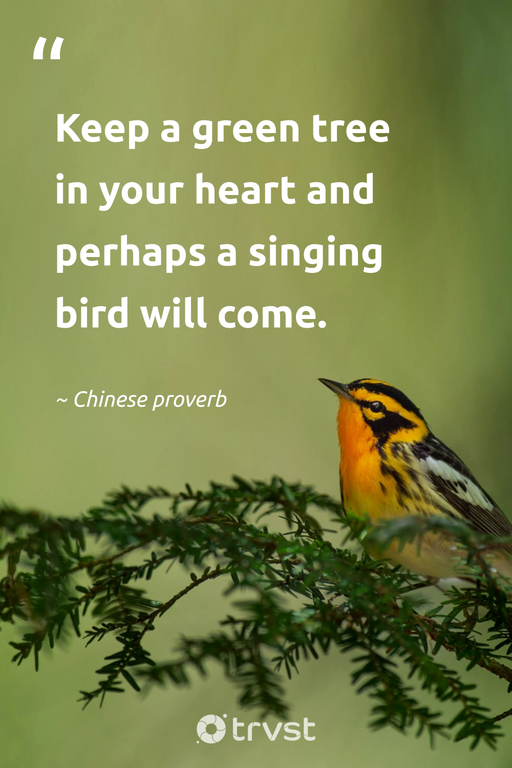 45 Gardening Quotes and Sayings