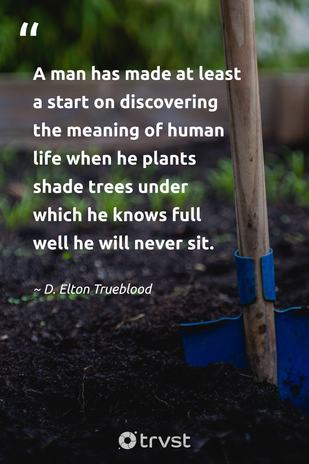 45 Gardening Quotes and Sayings