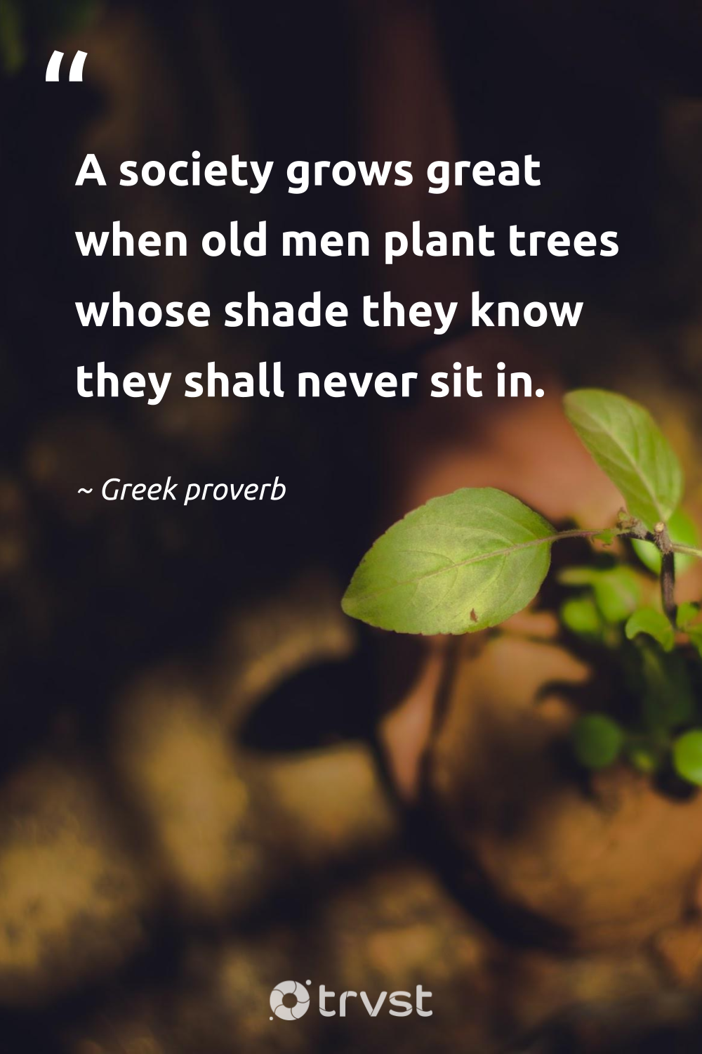 45 Gardening Quotes and Sayings