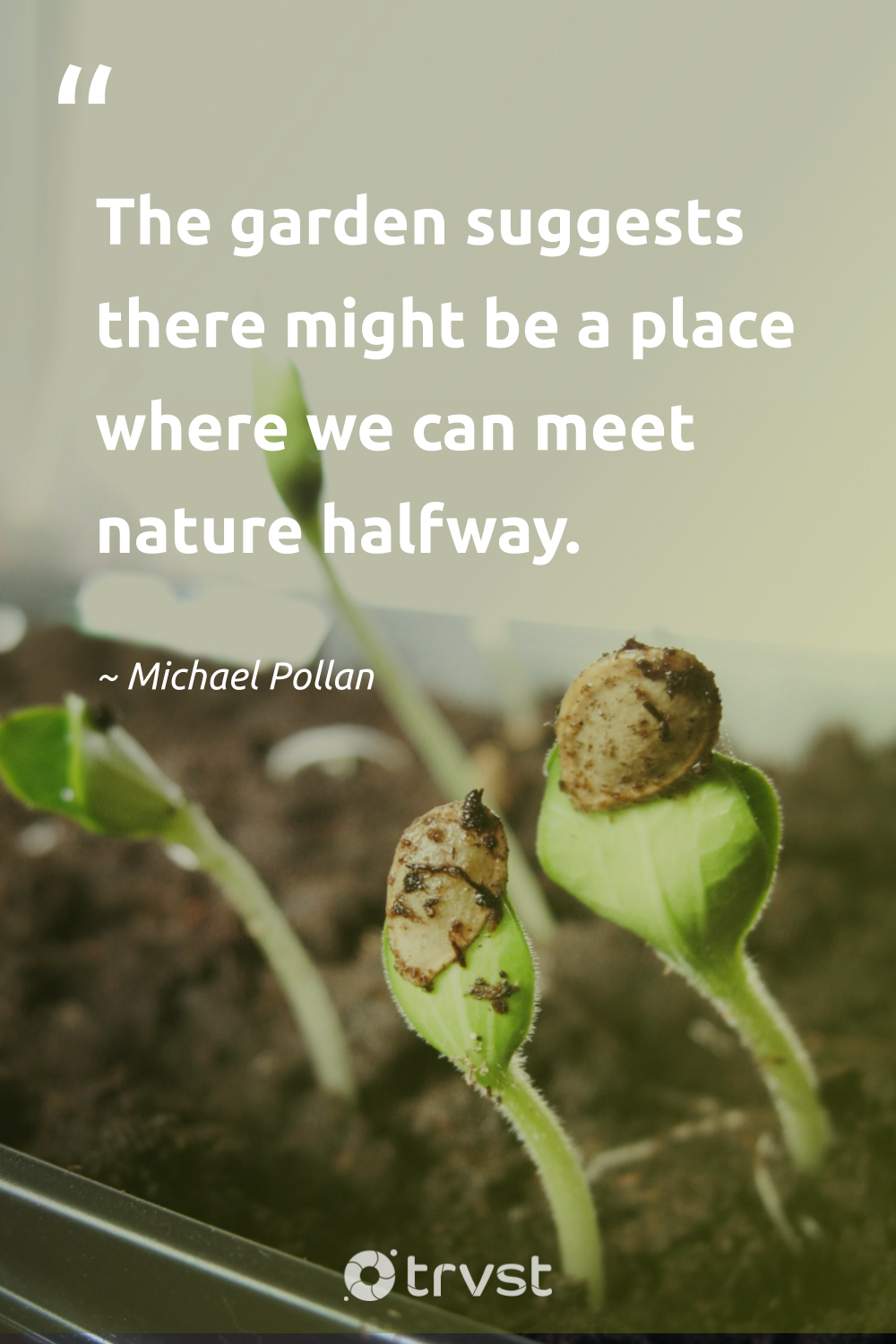 45 Gardening Quotes and Sayings