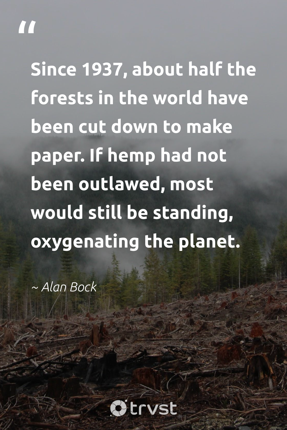 25 Hemp Quotes for Hemp-tastic Sustainable Living