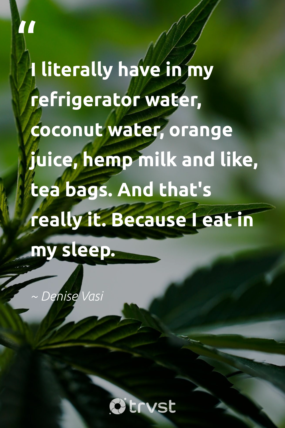 25 Hemp Quotes for Hemp-tastic Sustainable Living