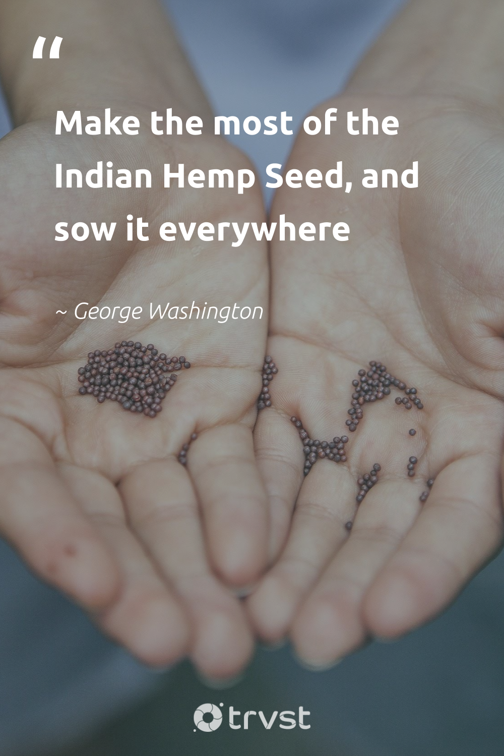 25 Hemp Quotes for Hemp-tastic Sustainable Living