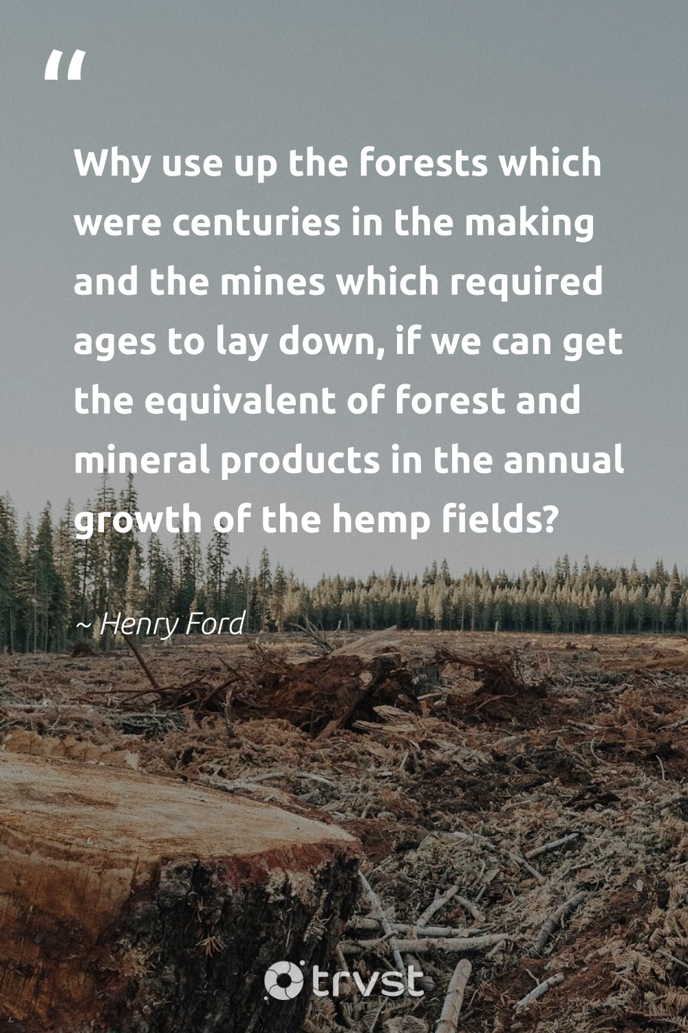 25 Hemp Quotes for Hemp-tastic Sustainable Living