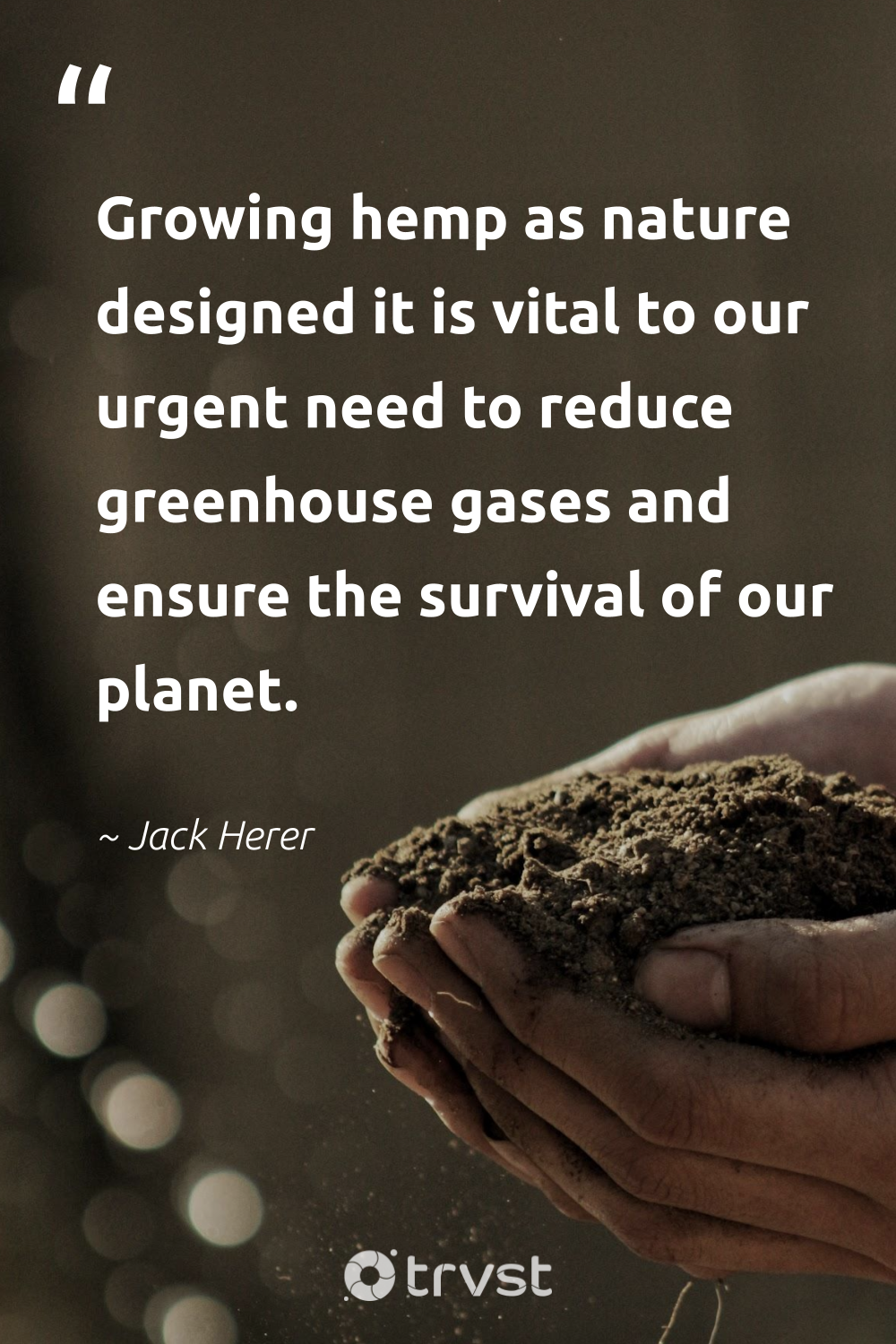 25 Hemp Quotes for Hemp-tastic Sustainable Living