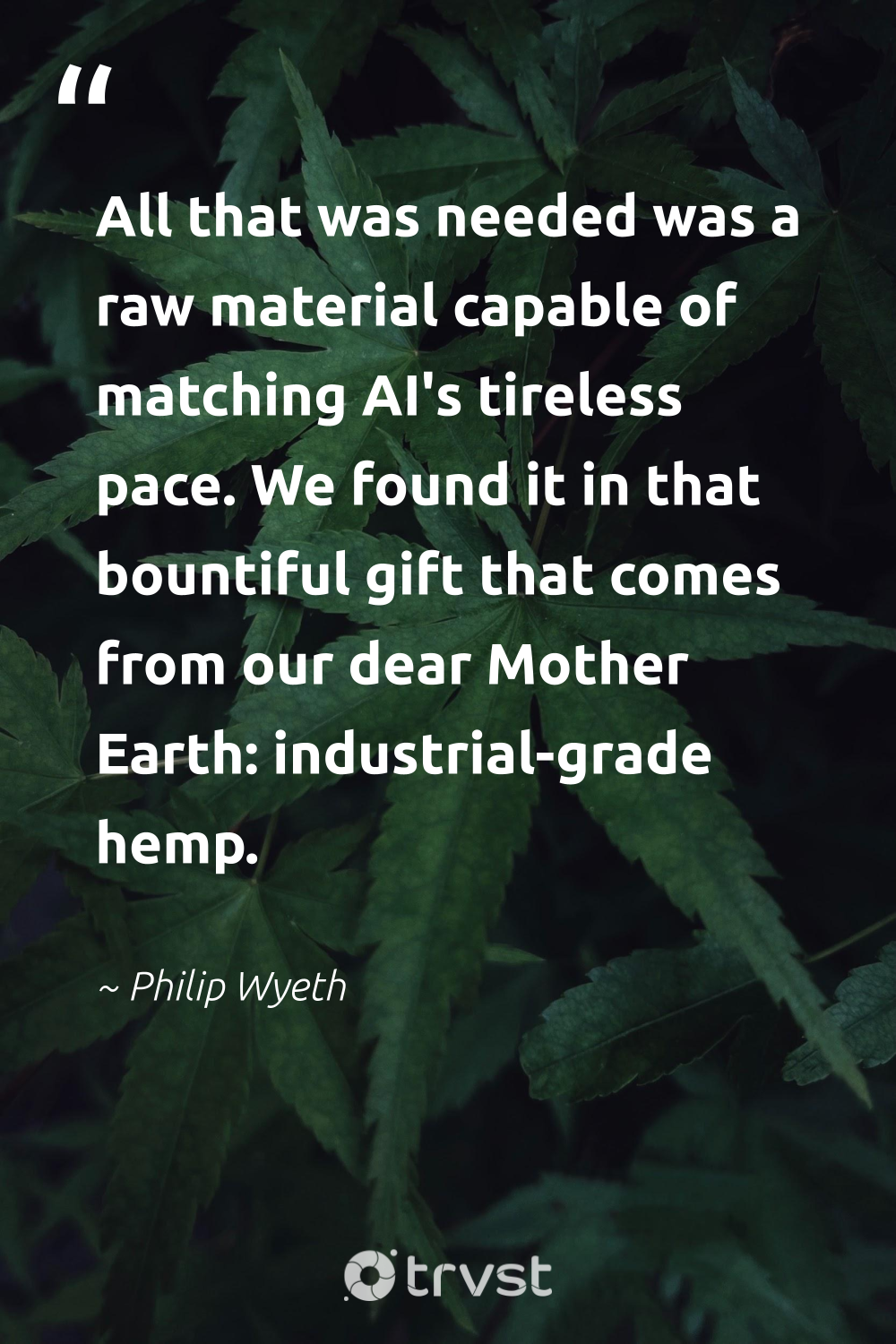 25 Hemp Quotes for Hemp-tastic Sustainable Living