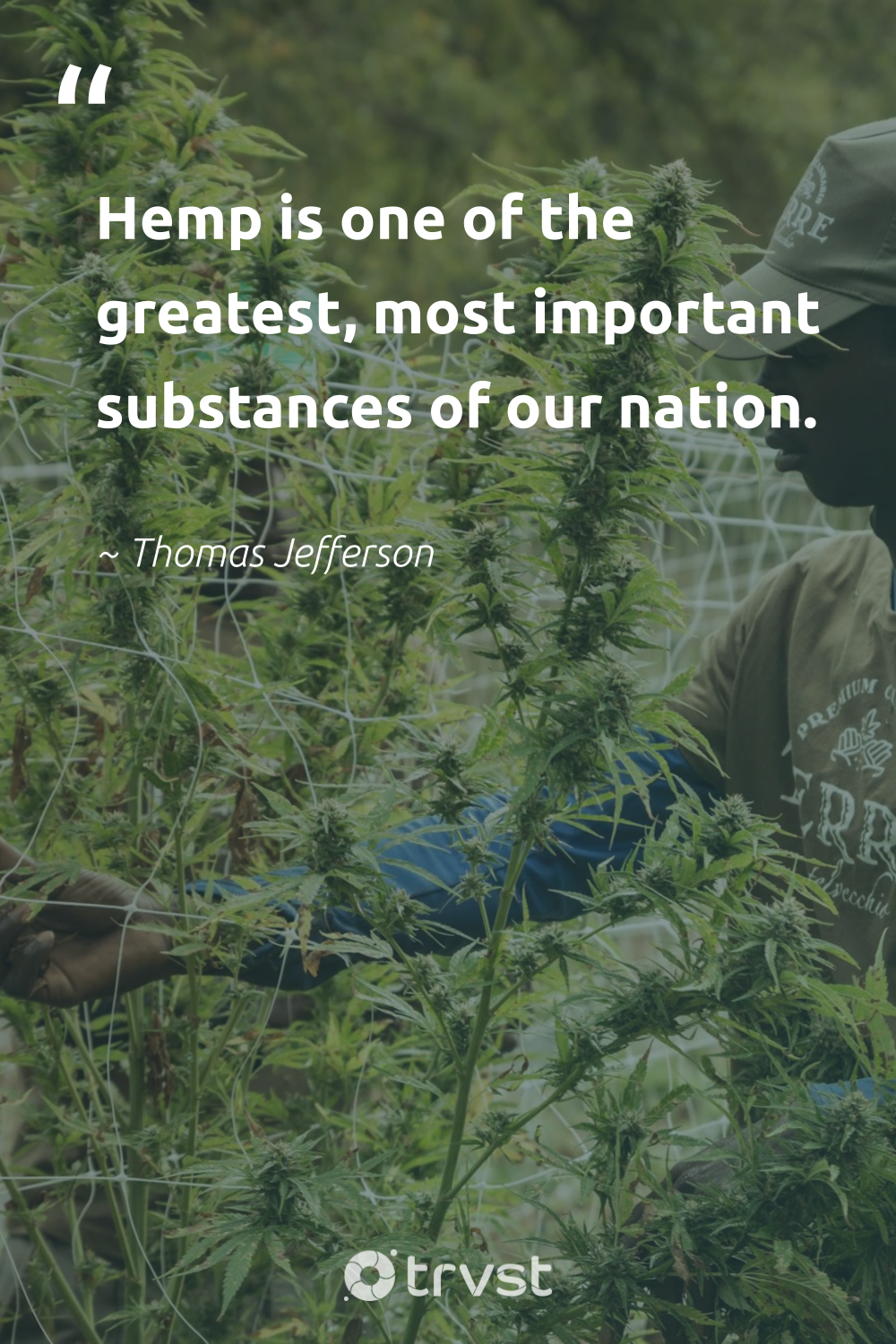 25 Hemp Quotes for Hemp-tastic Sustainable Living