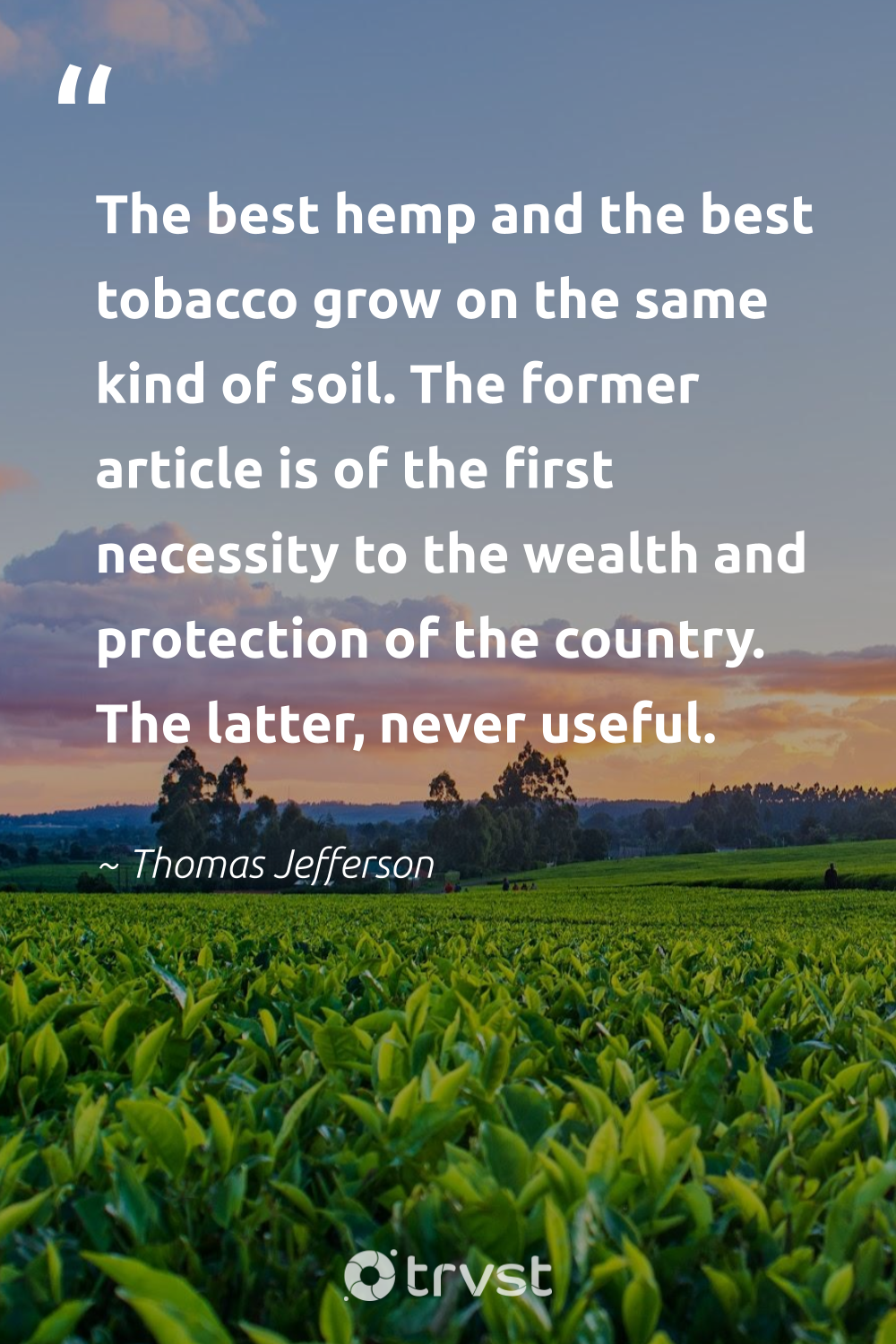 25 Hemp Quotes for Hemp-tastic Sustainable Living