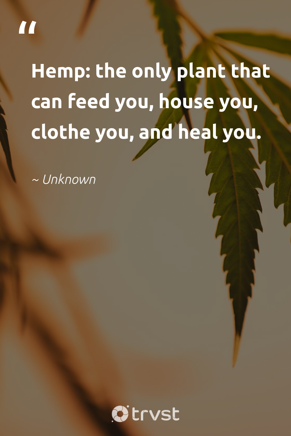 25 Hemp Quotes for Hemp-tastic Sustainable Living