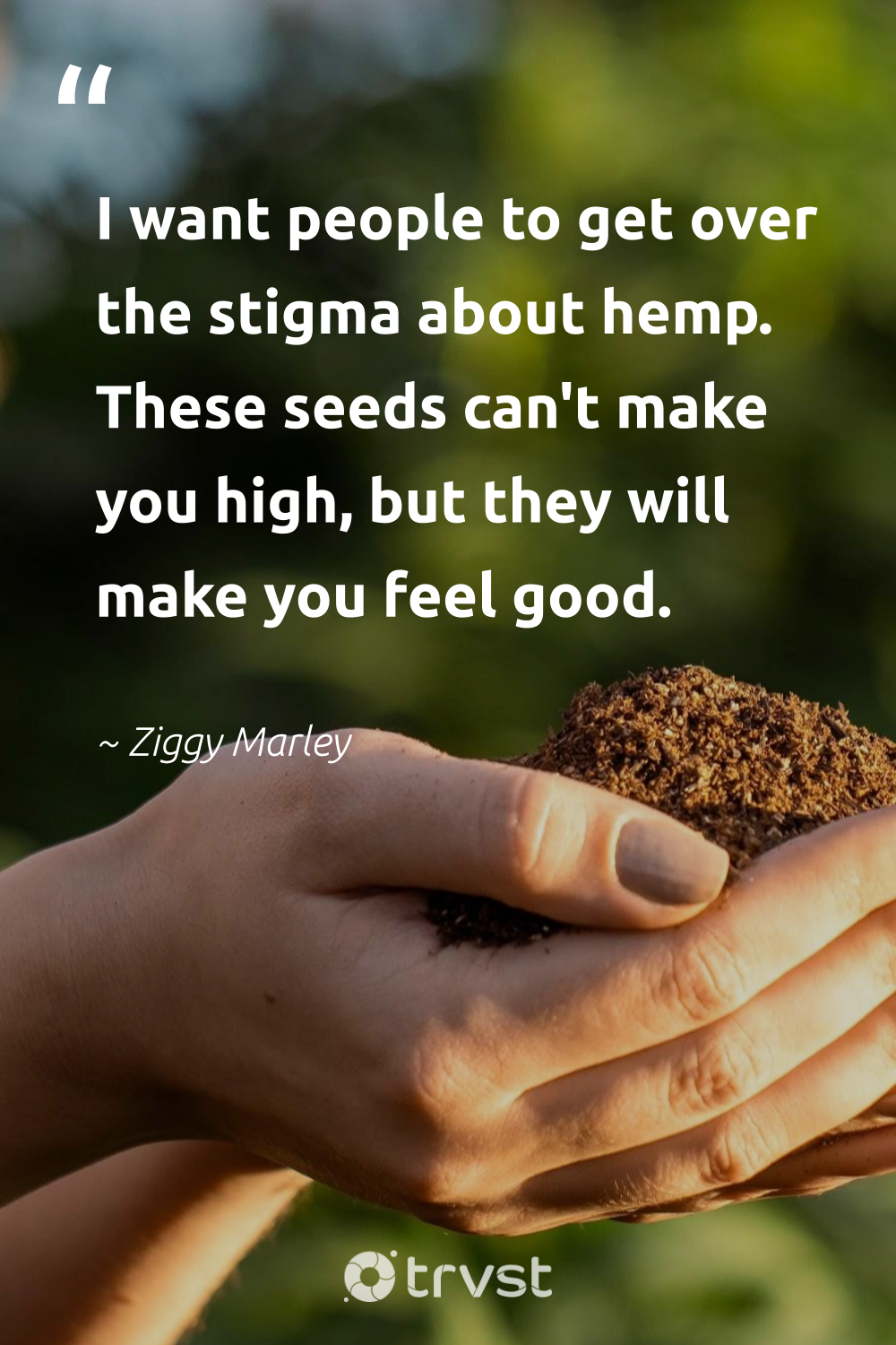 25 Hemp Quotes for Hemp-tastic Sustainable Living