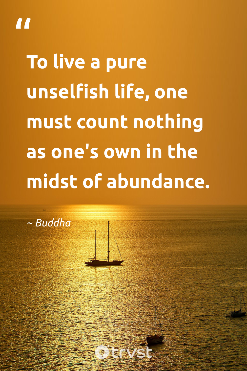 30 Minimalist Quotes to Begin a Simple and Meaningful Life