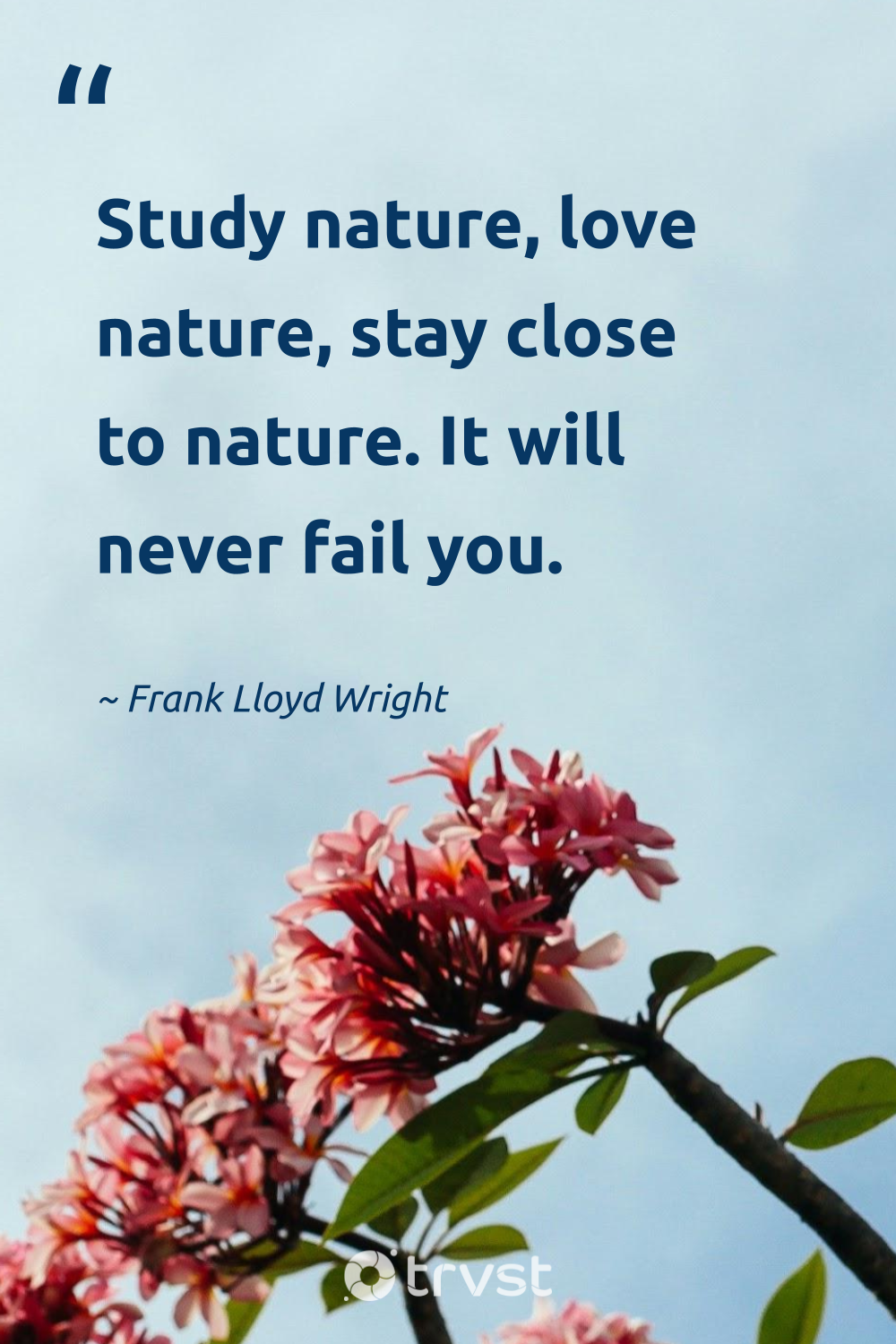 40 Outdoor Quotes To Appreciate Nature
