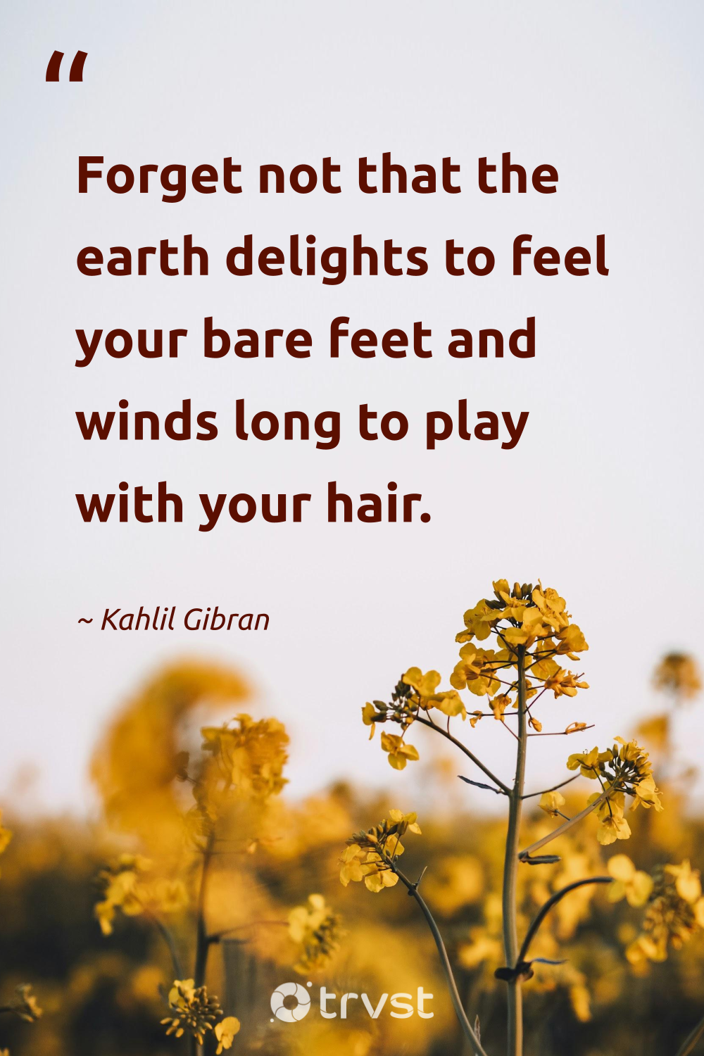 40 Outdoor Quotes To Appreciate Nature