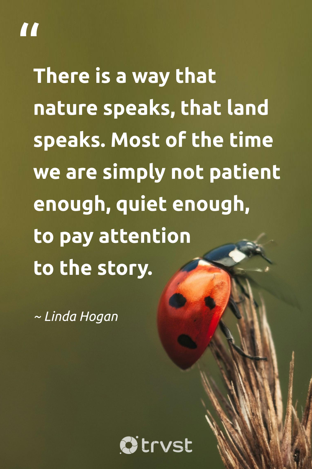 40 Outdoor Quotes To Appreciate Nature