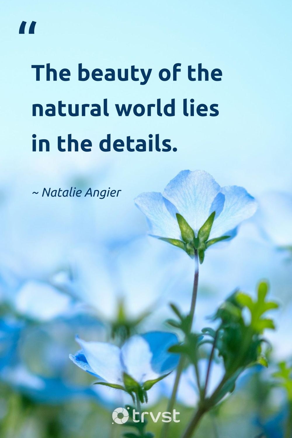 40 Outdoor Quotes To Appreciate Nature