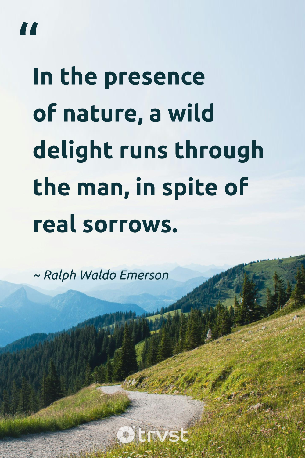 40 Outdoor Quotes To Appreciate Nature
