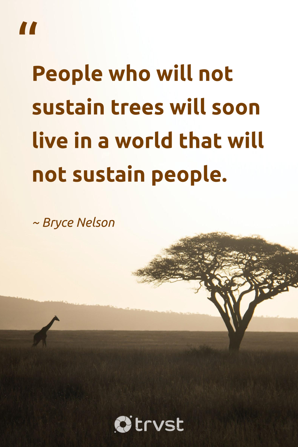 43 Tree Planting Quotes to Inspire You to Grow a Forest