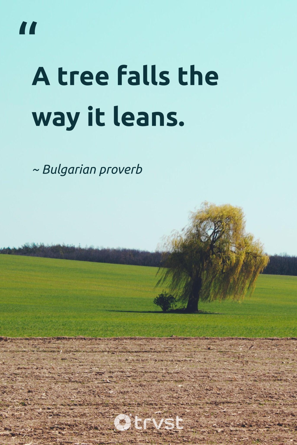 43 Tree Planting Quotes to Inspire You to Grow a Forest