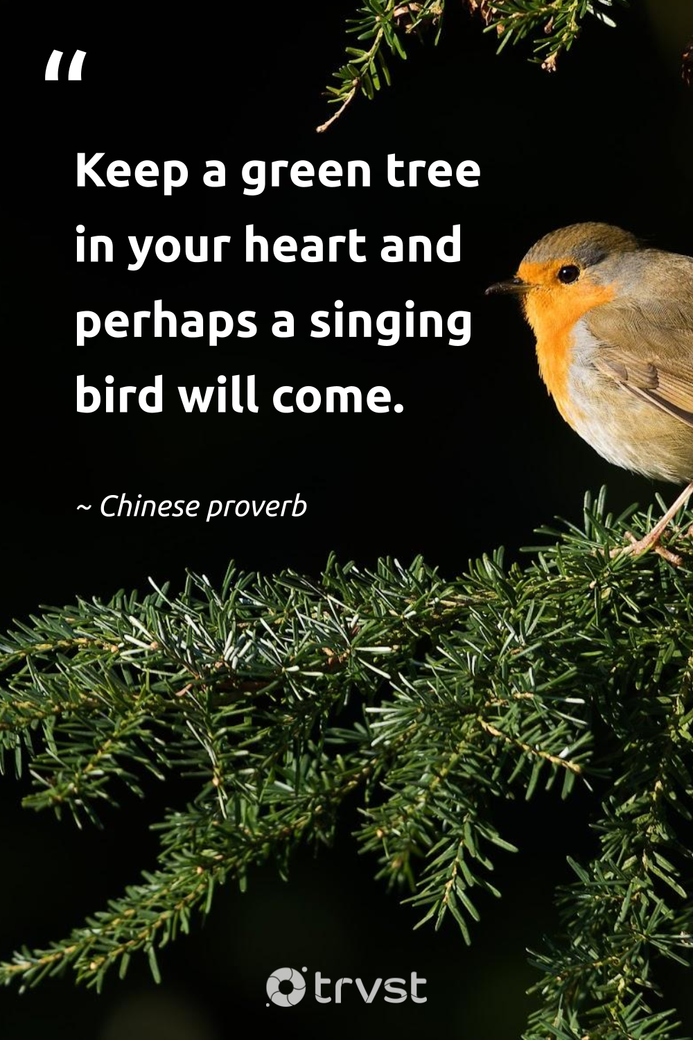 43 Tree Planting Quotes to Inspire You to Grow a Forest