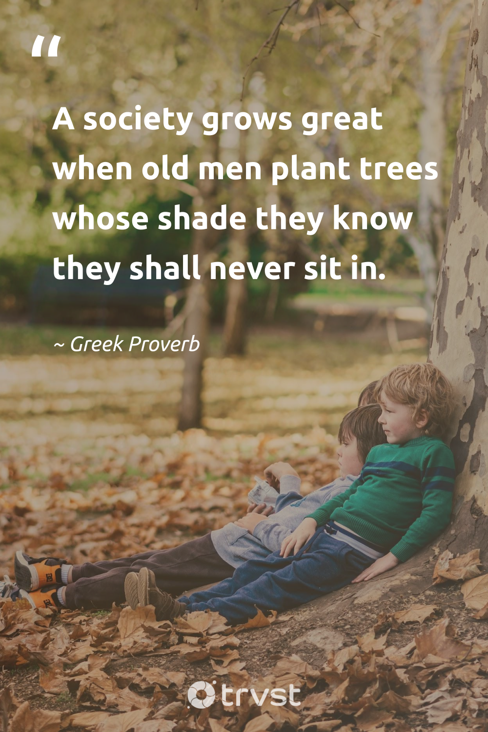 43 Tree Planting Quotes to Inspire You to Grow a Forest