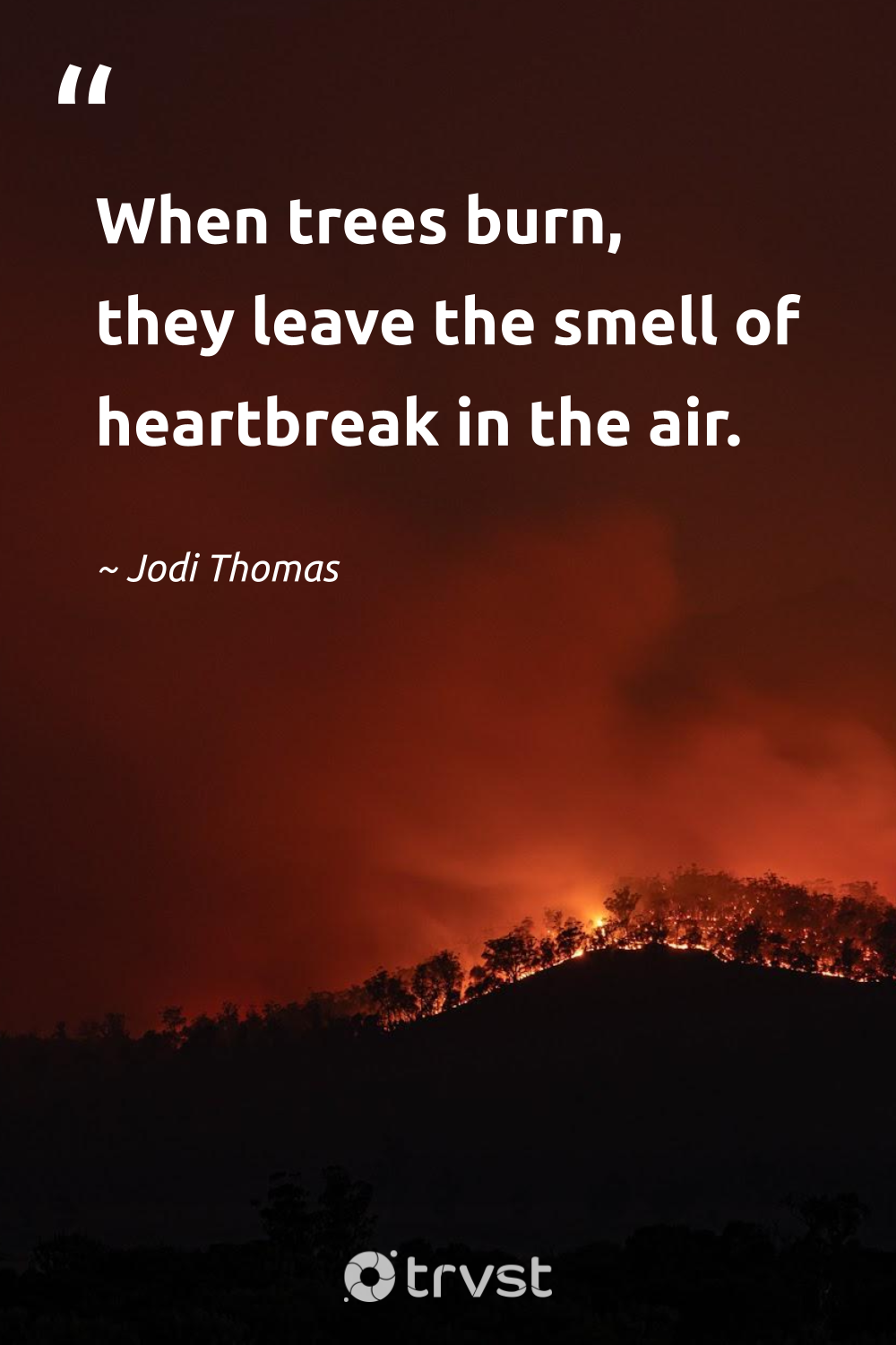 43 Tree Planting Quotes to Inspire You to Grow a Forest