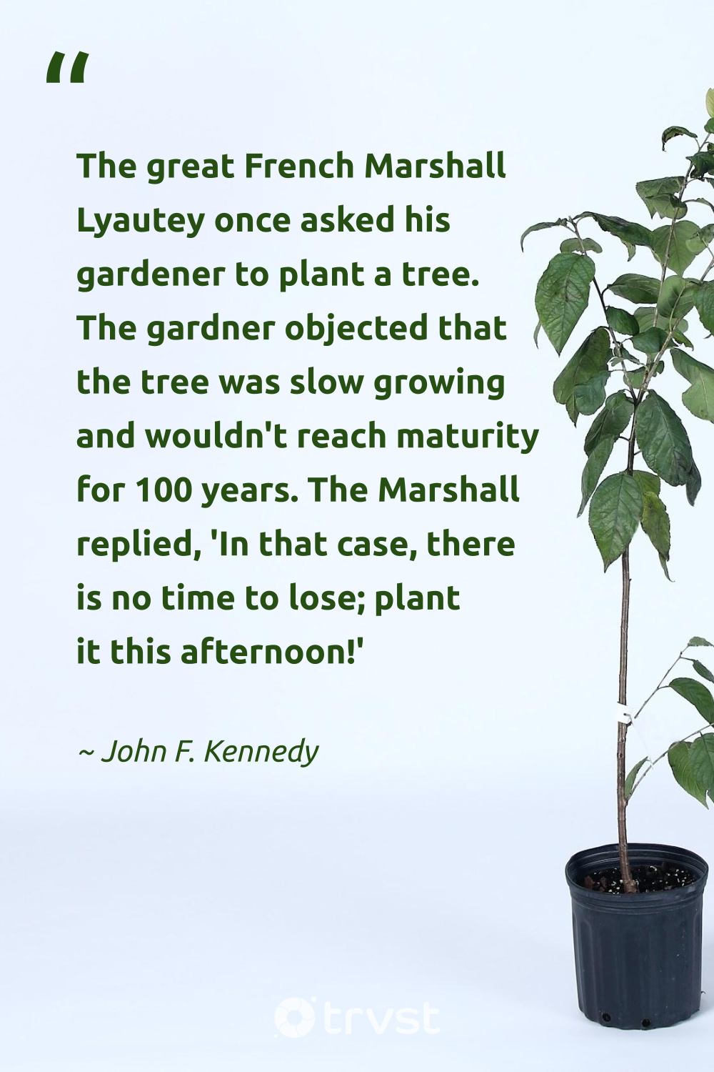 43 Tree Planting Quotes to Inspire You to Grow a Forest