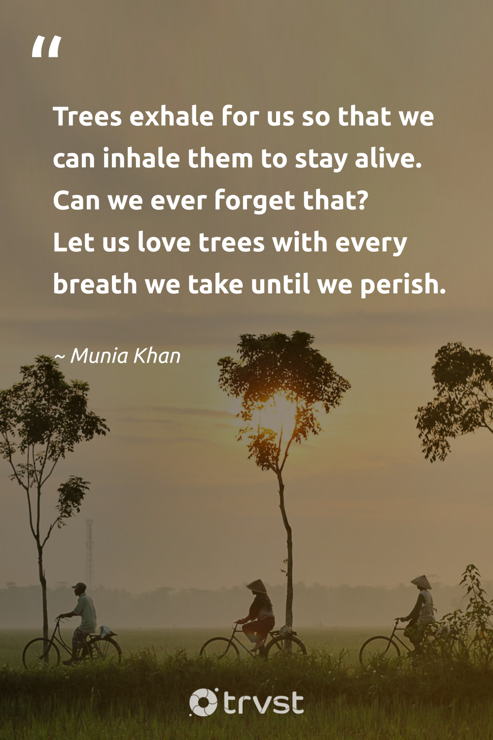 43 Tree Planting Quotes to Inspire You to Grow a Forest