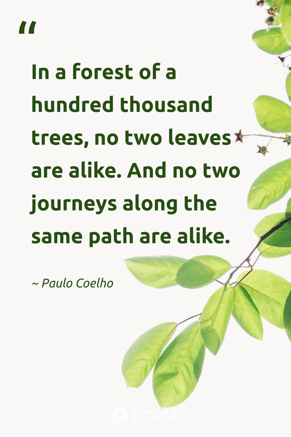 43 Tree Planting Quotes to Inspire You to Grow a Forest