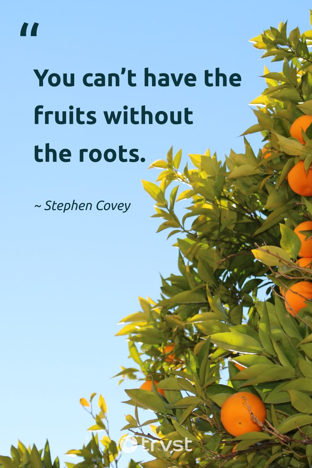 43 Tree Planting Quotes to Inspire You to Grow a Forest