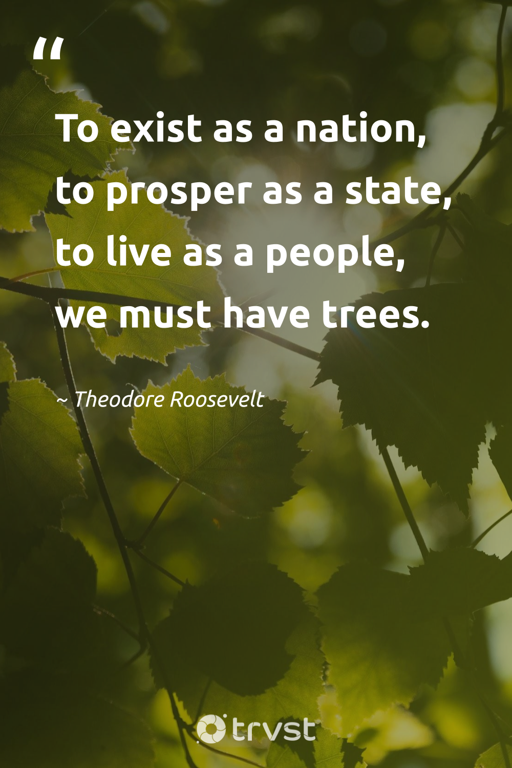 43 Tree Planting Quotes to Inspire You to Grow a Forest