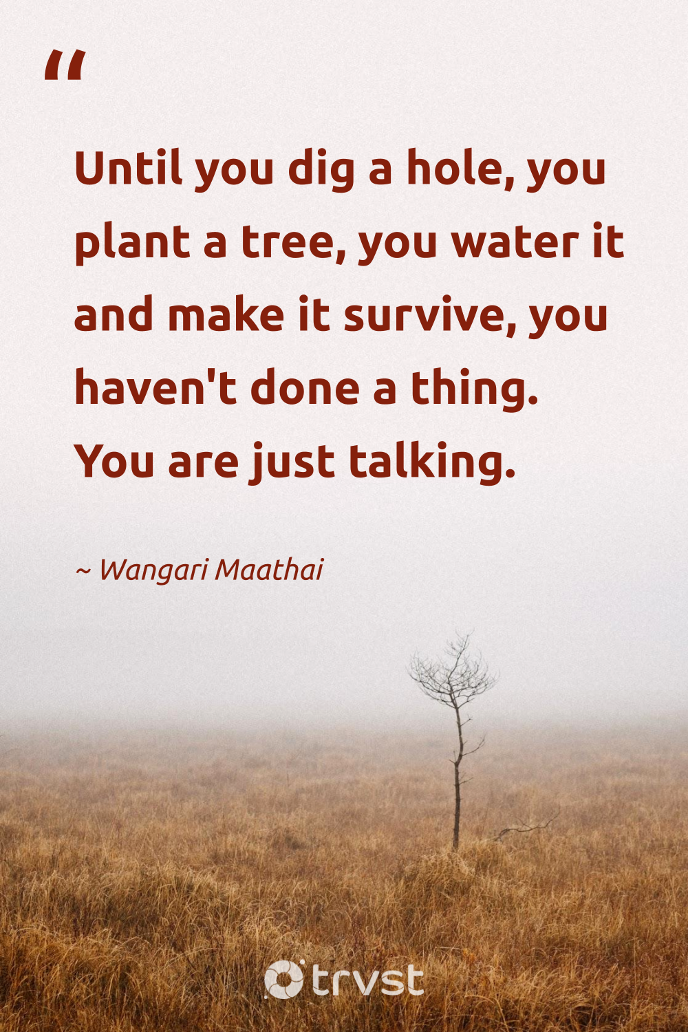 43 Tree Planting Quotes to Inspire You to Grow a Forest