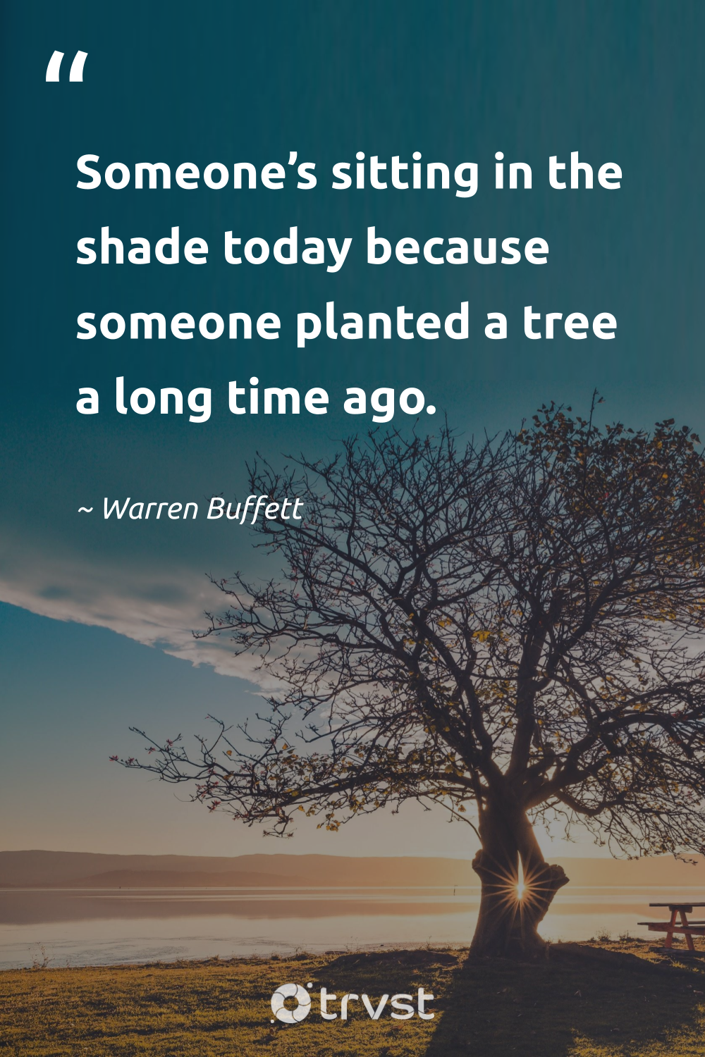 43 Tree Planting Quotes to Inspire You to Grow a Forest