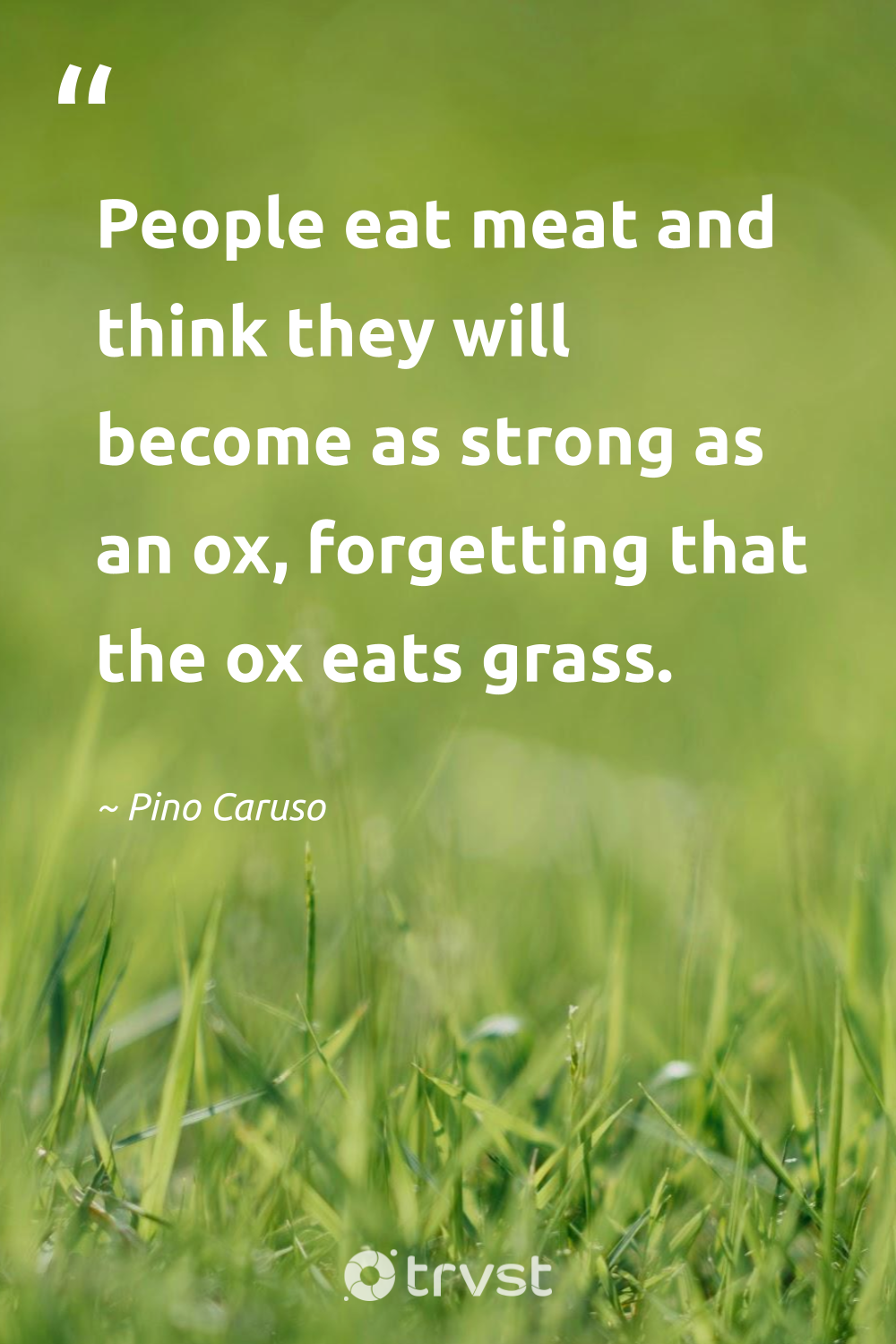 50 Vegan Quotes Inspiring Kindness For All Creatures