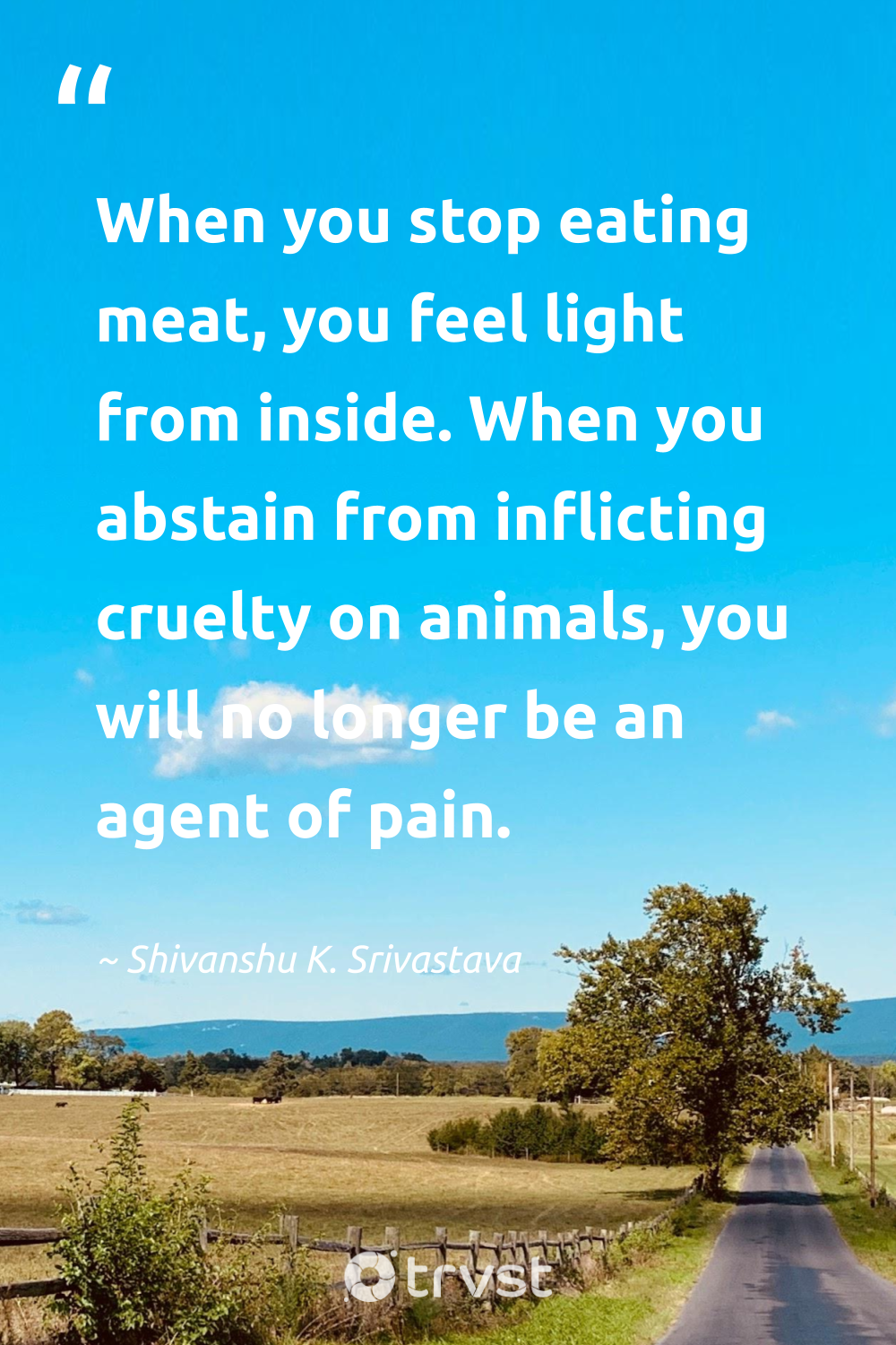 50 Vegan Quotes Inspiring Kindness For All Creatures