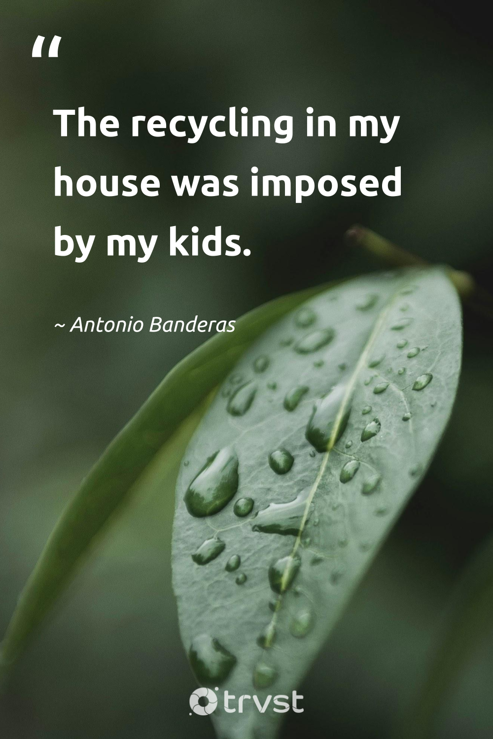 40 Recycling Quotes Inspiring A Waste-free World