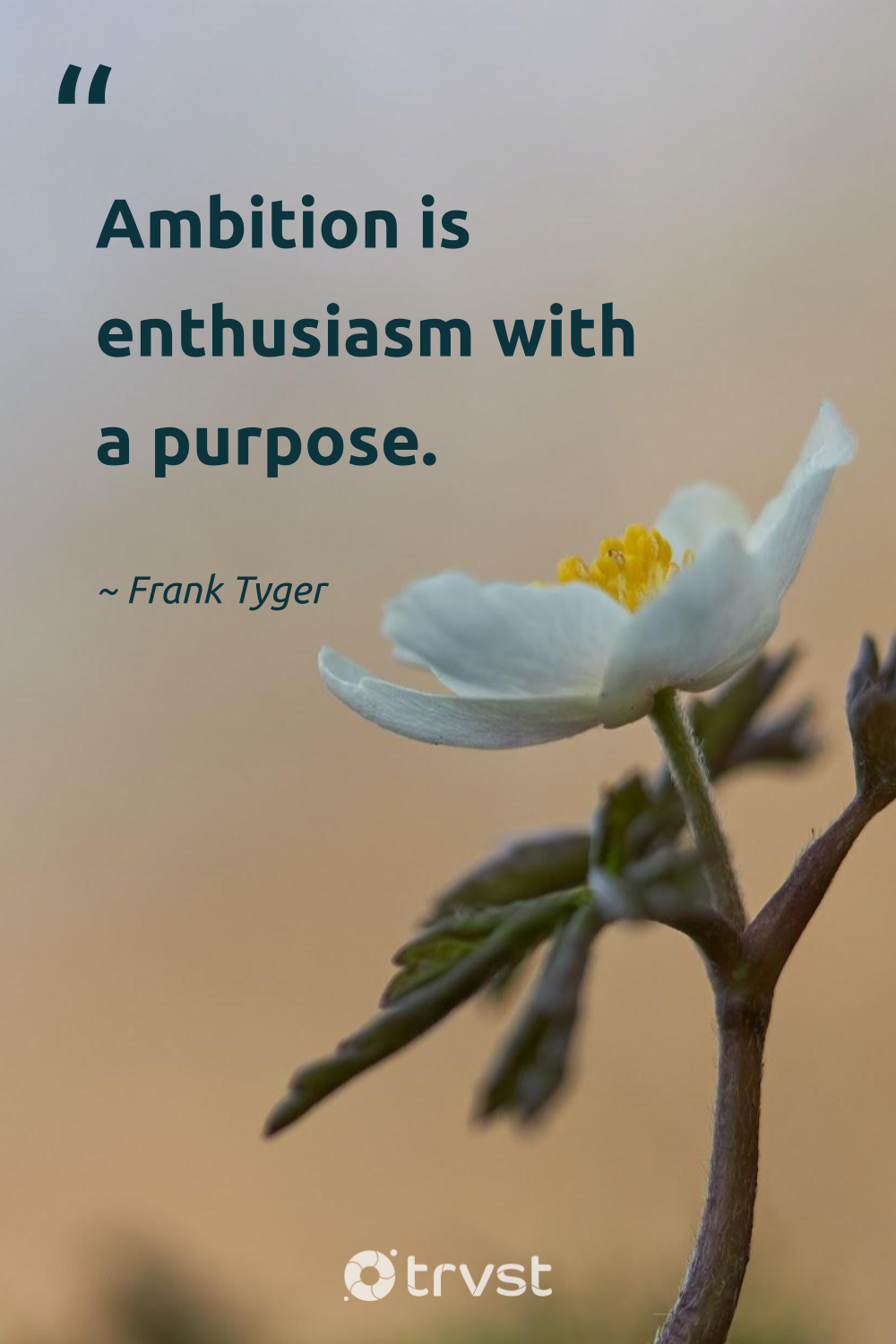 35 Ambition Quotes To Fuel Your Drive