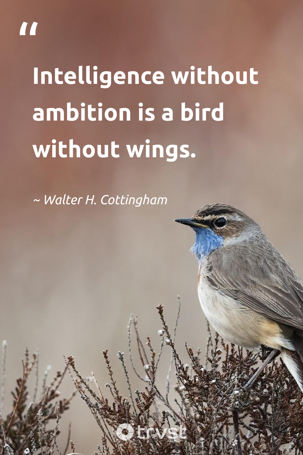 35 Ambition Quotes To Fuel Your Drive