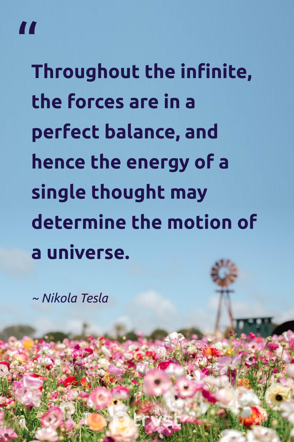 60 Balance Quotes To Achieve A Well-Balanced Life (2024)