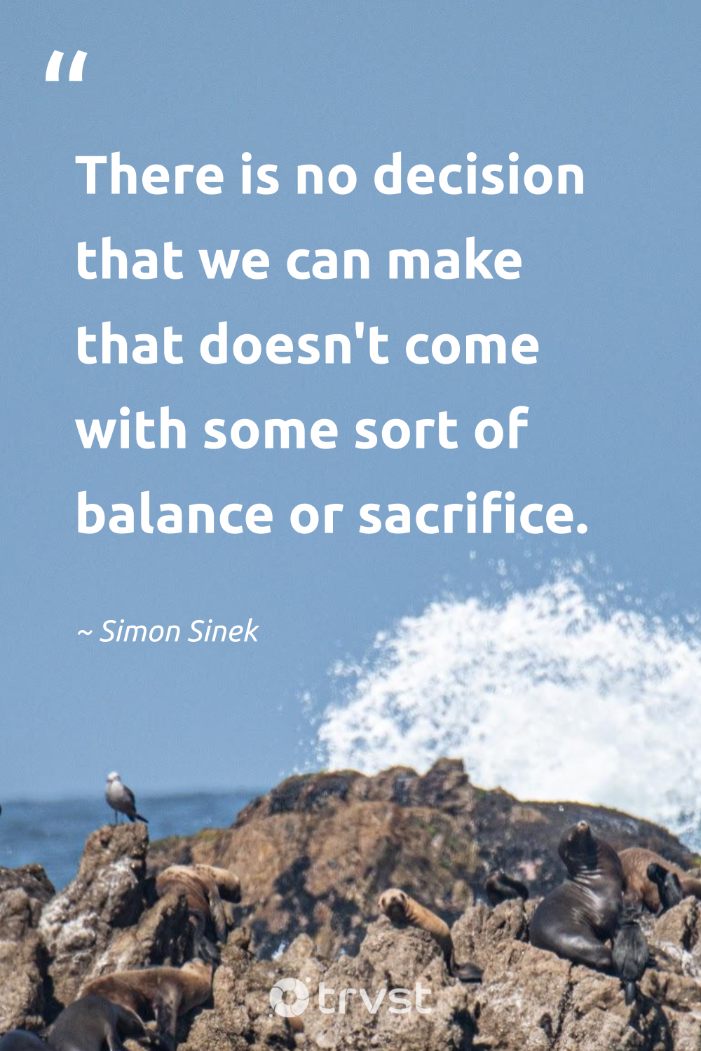 60 Balance Quotes To Achieve A Well-Balanced Life (2024)