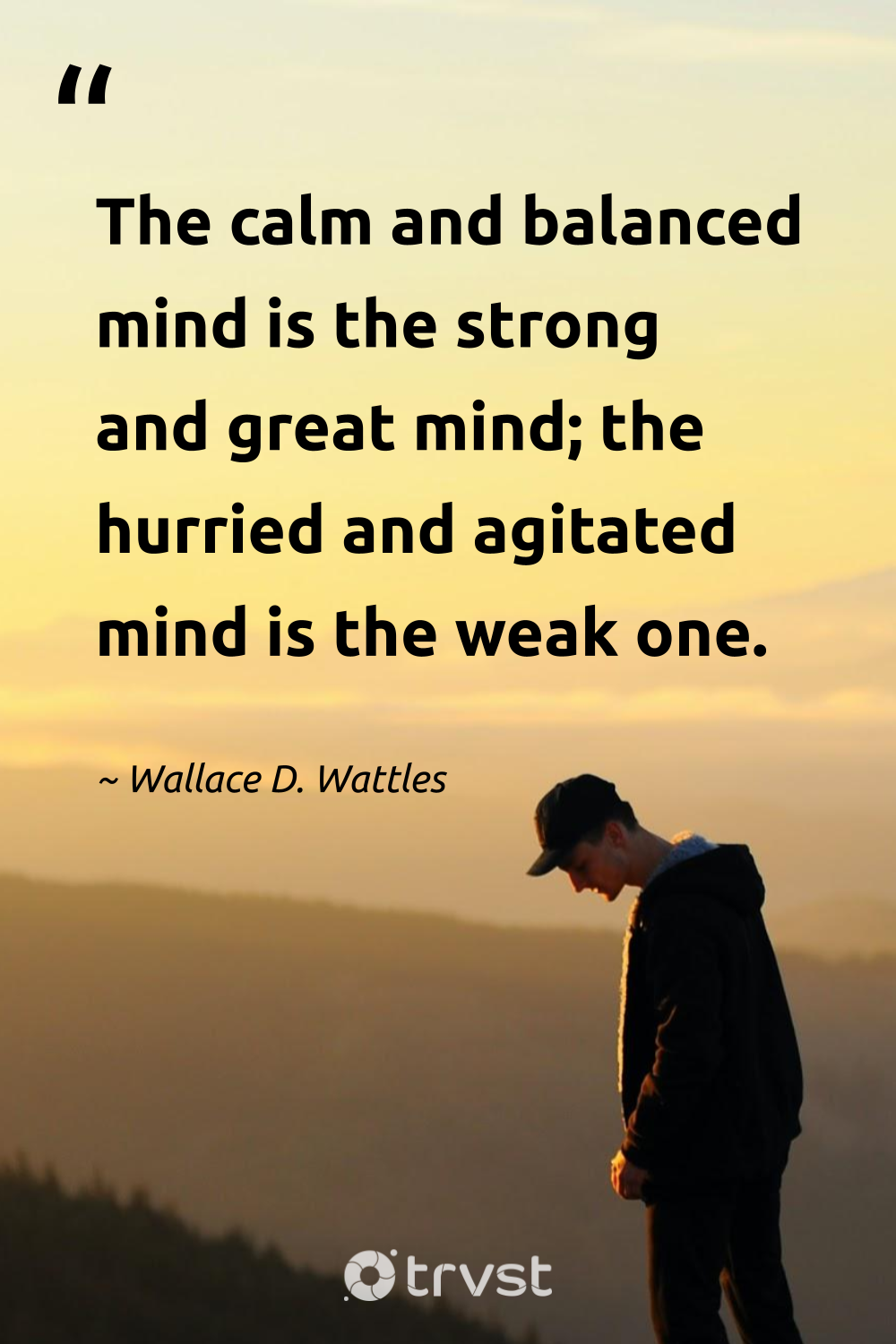 60 Balance Quotes To Achieve A Well-Balanced Life (2025)