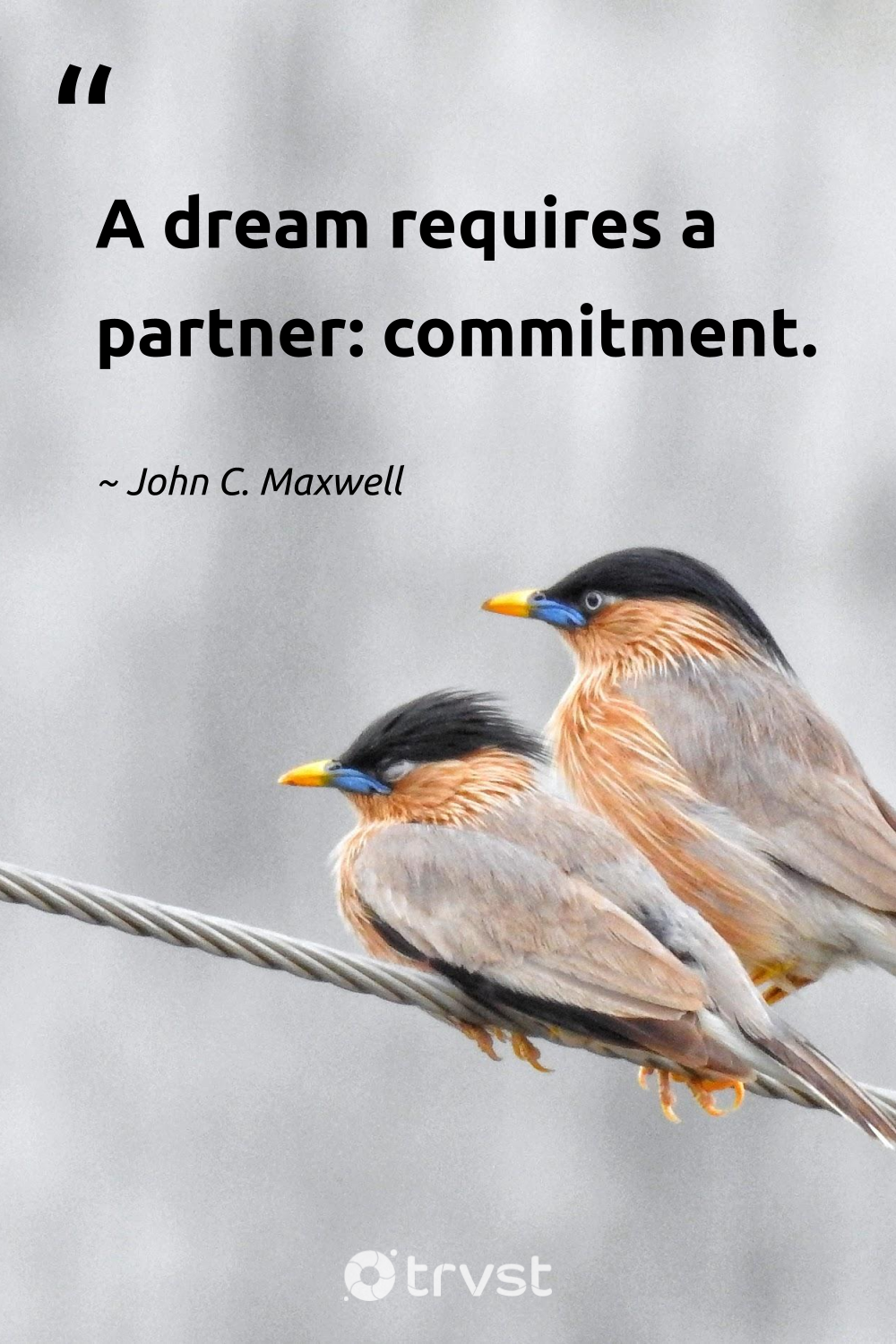 60 Commitment Quotes About Tenacity And Loyalty