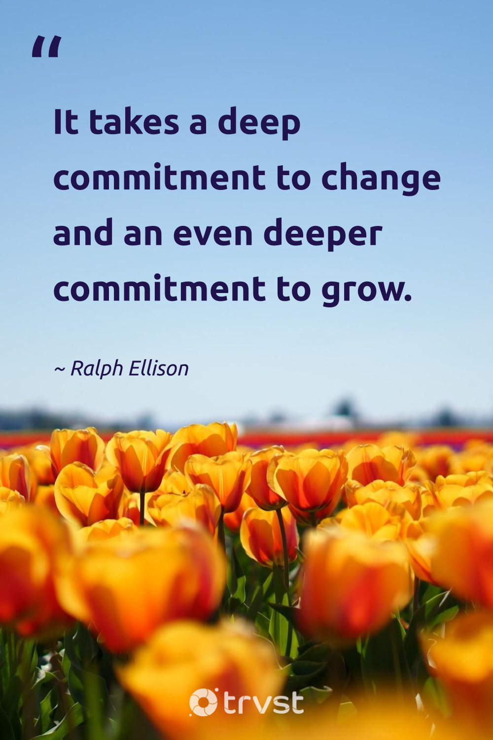 60 Commitment Quotes About Tenacity And Loyalty