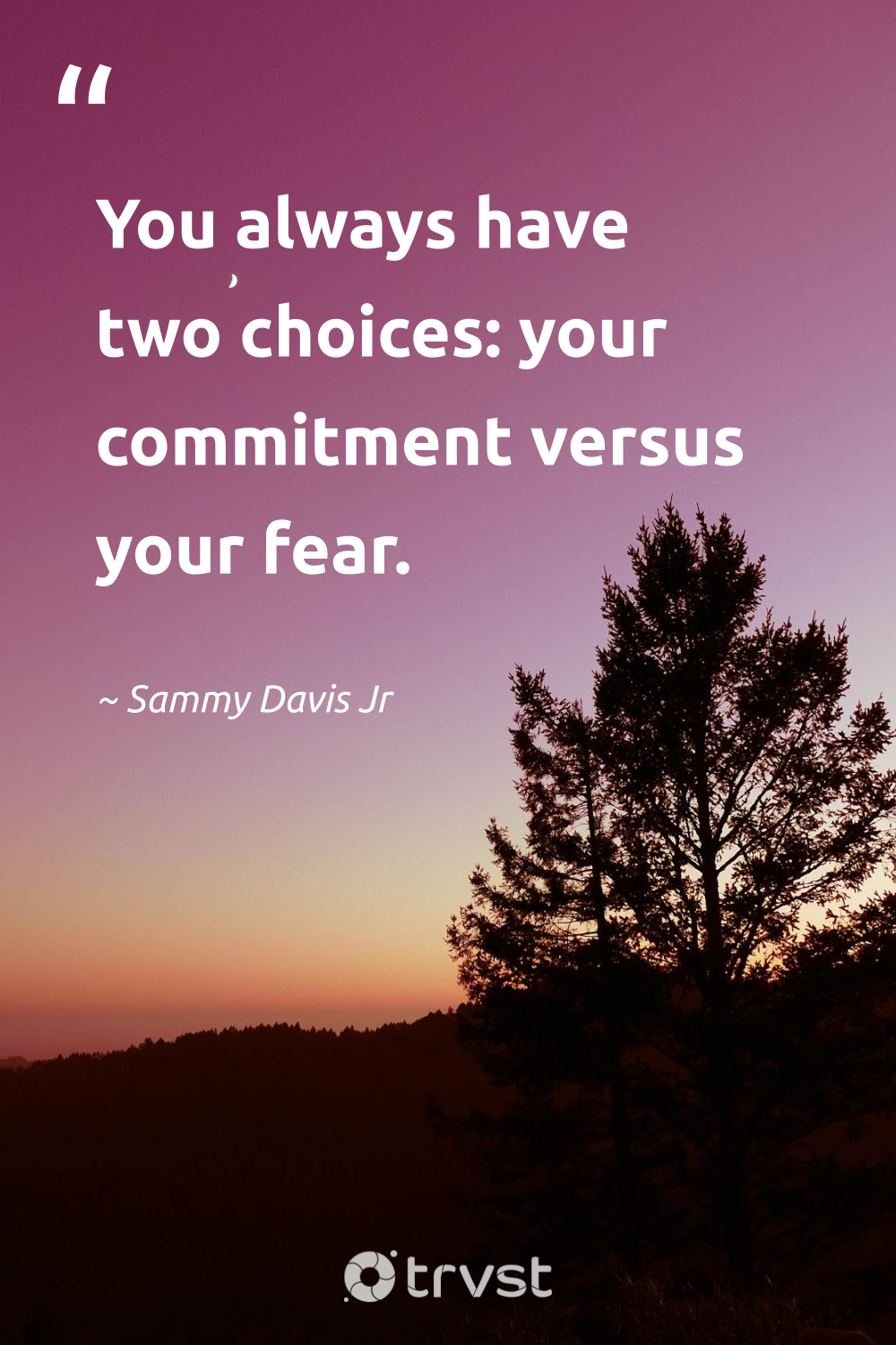 60 Commitment Quotes About Tenacity And Loyalty