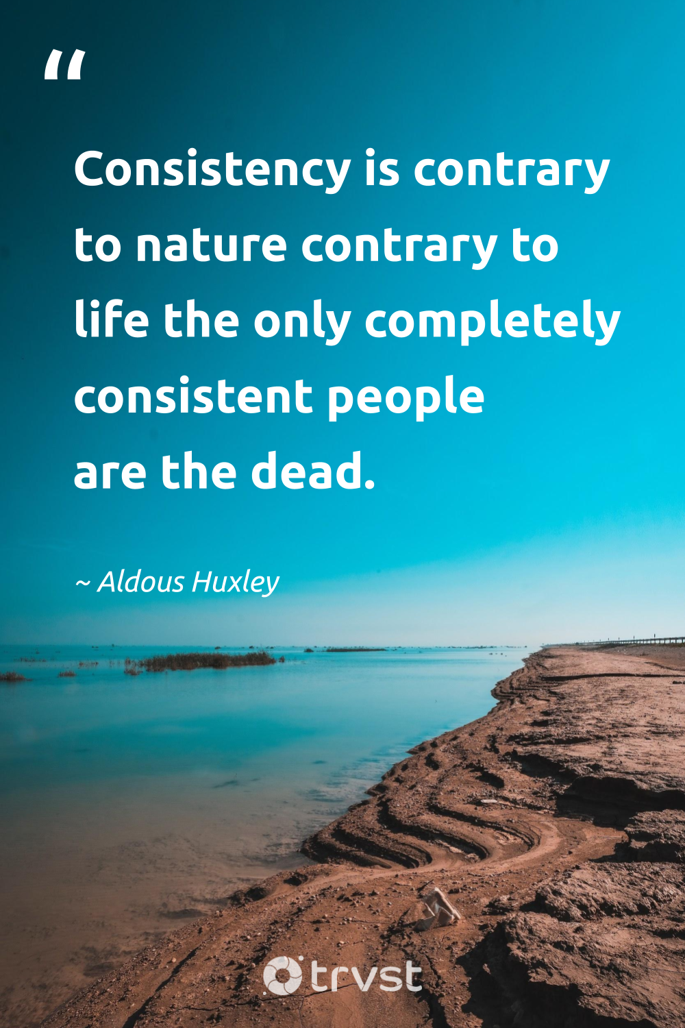 51 Consistency Quotes to Inspire You to Reach Your Goals (2024)