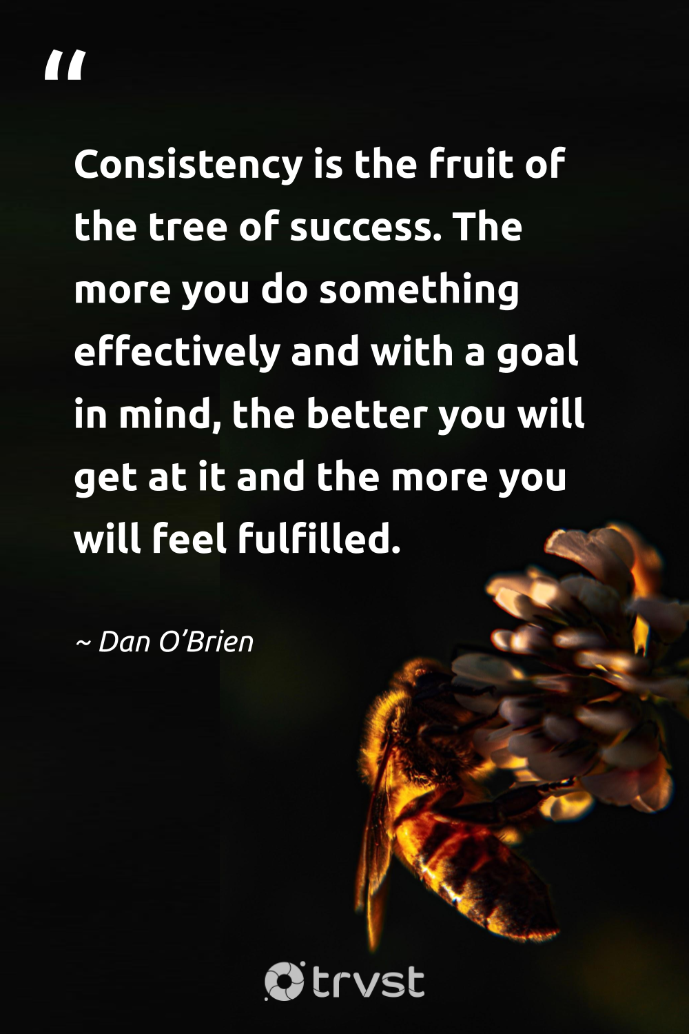 51 Consistency Quotes to Inspire You to Reach Your Goals (2025)