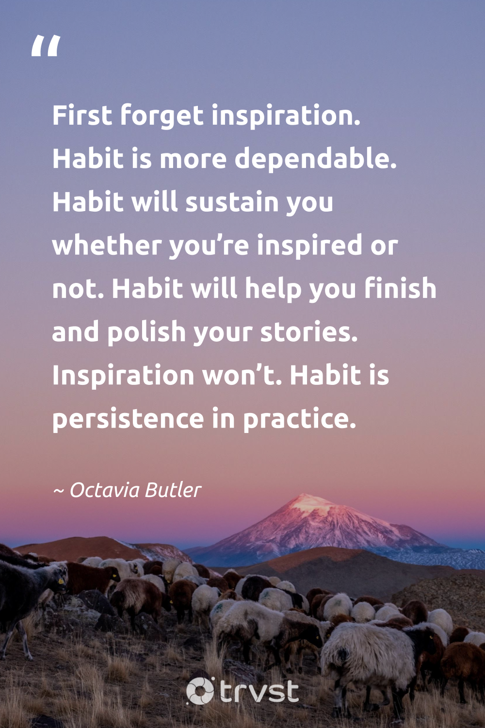 51 Consistency Quotes to Inspire You to Reach Your Goals (2025)