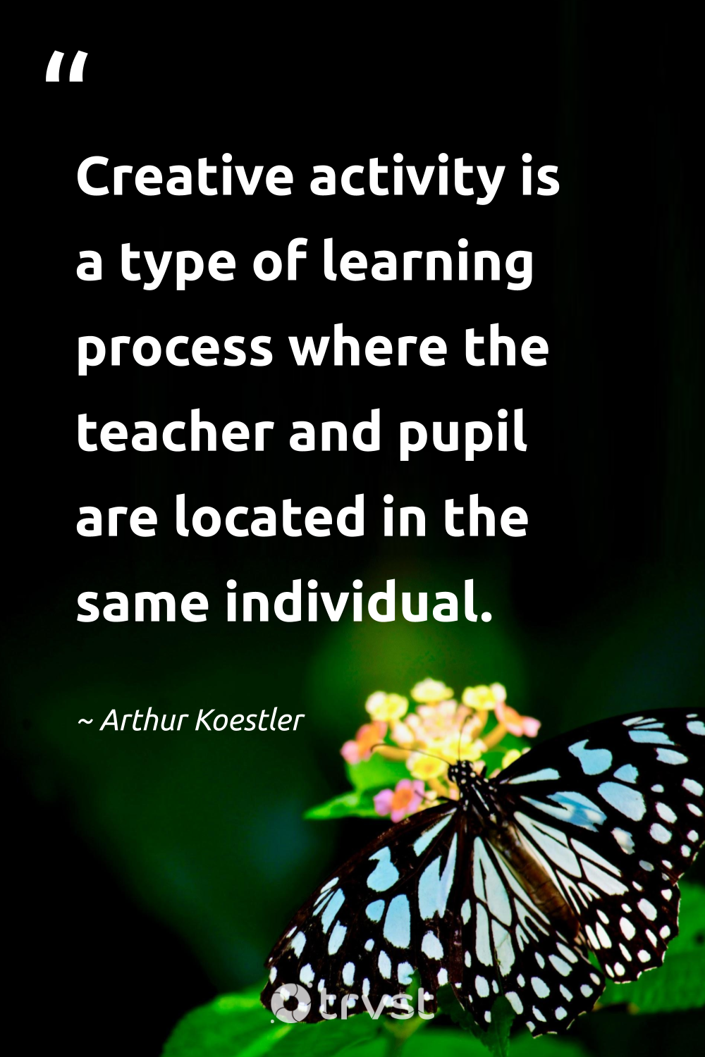 80 Creativity Quotes To Fuel Your Imagination