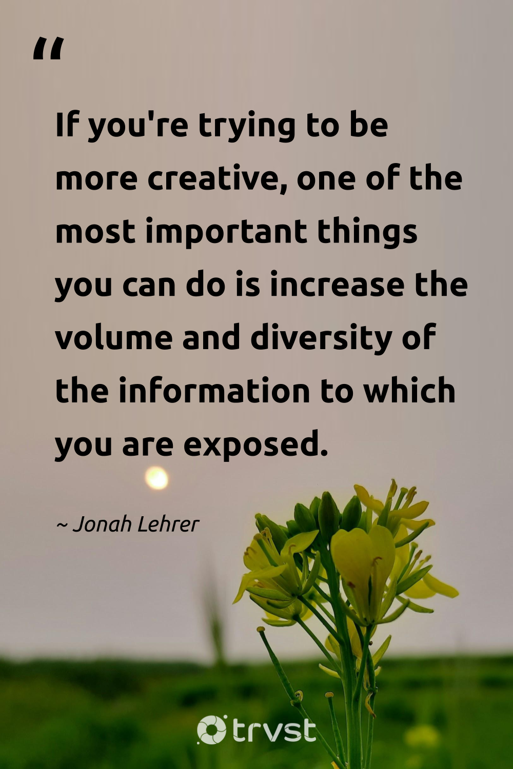 80 Creativity Quotes To Fuel Your Imagination