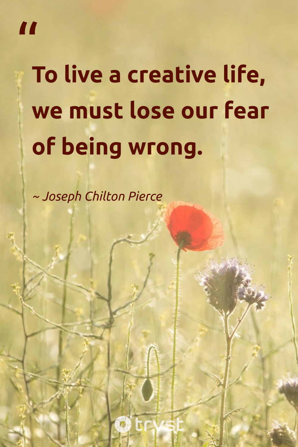 80 Creativity Quotes To Fuel Your Imagination